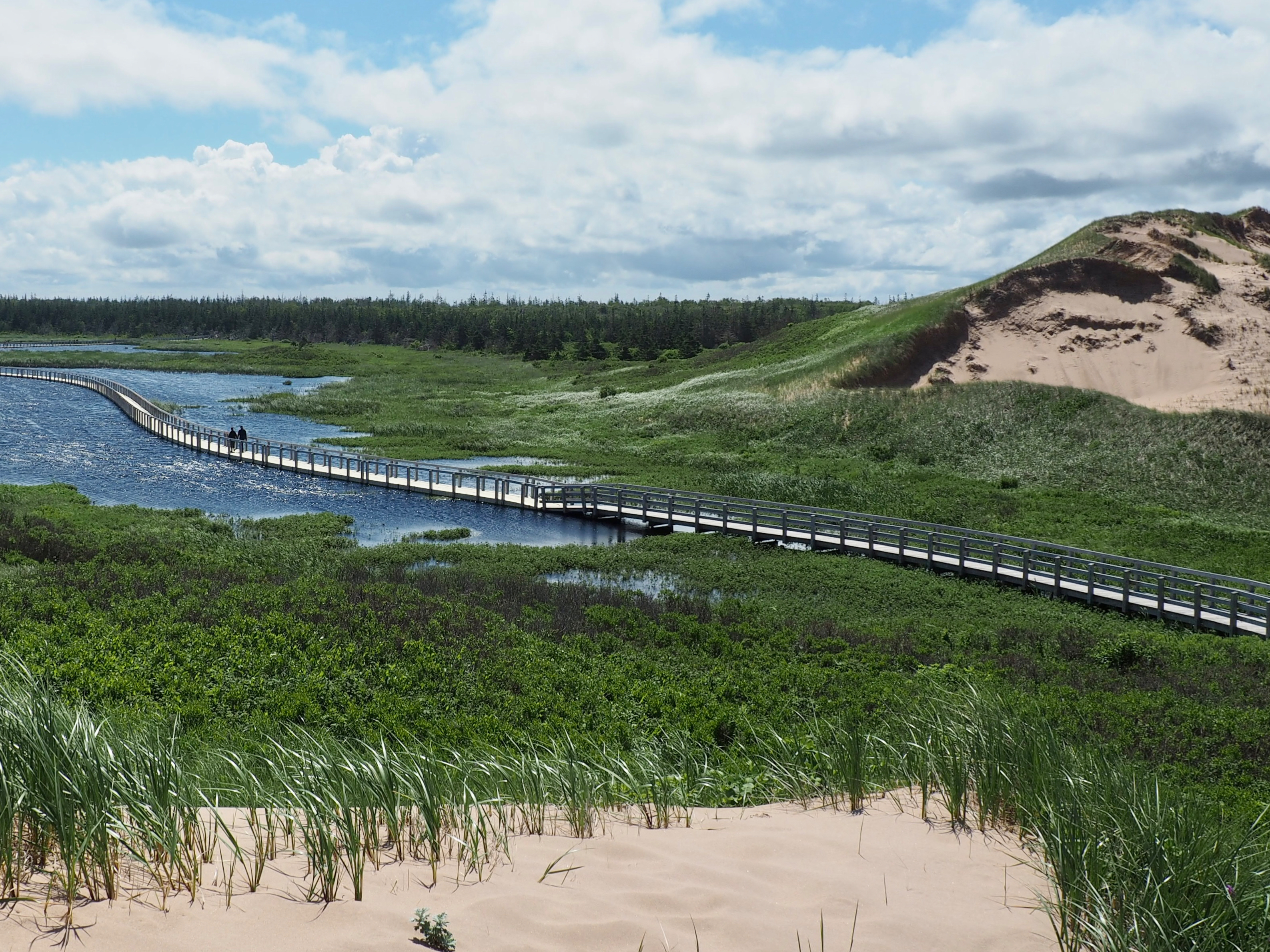 Floating Boardwalk – Photos from Sue